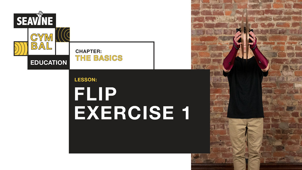 Flip Exercise 1 – Seavine